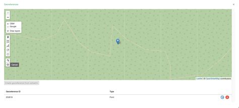 Bug Comprehensive Digitization Form Georeference Format
