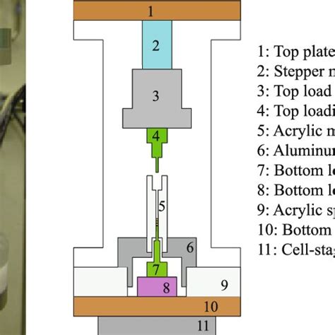 Photo And Schematic Of 1d Compression Test Cell Download Scientific