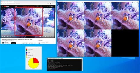 Example DisplayPort Opal Kelly Documentation Portal