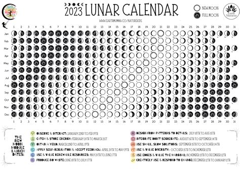 Lunar Calendar Illustrated With Moon Phases