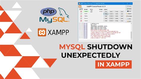 xampp mysql not starting xampp mysql not running mysql shutdown unexpectedly youtube