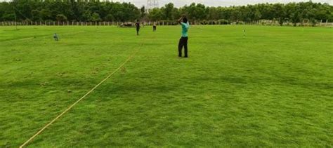 Natural Mexican Korean G2 Grass For Garden Unit Size 1square Feet