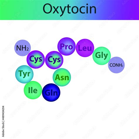 Oxytocin Hormone Peptide Primary Structure Biomolecule Schematic Amino