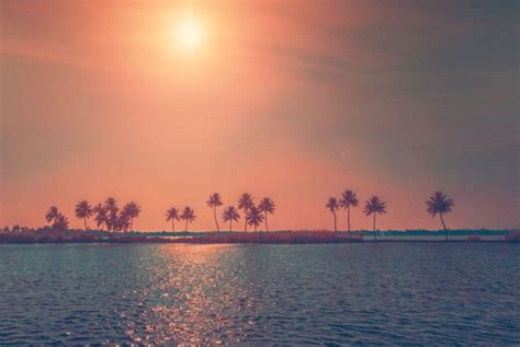 8 Days Kerala Package Classic Expeditions India Pvt Ltd