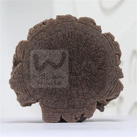 Tree Of Life Mold Cm For Resin And Polymer Clay Etsy