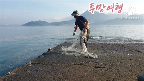 신지도여행3일차방죽포항편 투망낚시바다물고기 Youtube