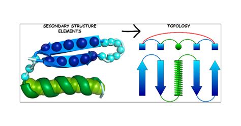 Protein Secondary Structure