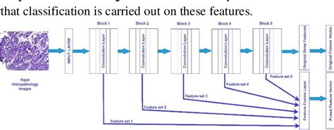 Figure 1 From Hybrid Feature Extraction Based Ensemble Classification Model To Diagnose Oral
