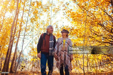 가을 시즌 산책 가을 공원에서 걷는 선임 가족 부부 남자와 여자 지출 시간 함께 야외 가을에 대한 스톡 사진 및 기타 이미지 가을 노인 가족 Istock