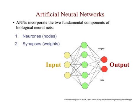 Lecture Artificial Neural Networks And Pattern Recognition Ppt