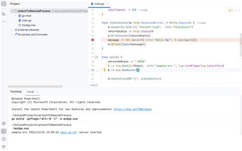 Attach To Running Go Processes With The Debugger Goland Documentation