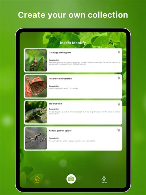 Bug Identifier Insect Identification For Android Download