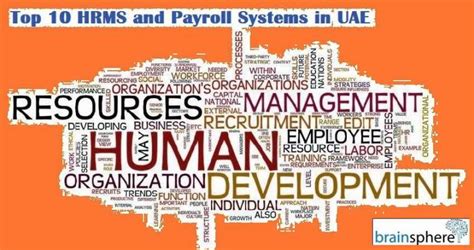 Top 10 Hrms Software Companies In Dubai Uae Brainsphere It Solutions