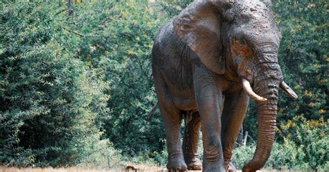 Minervasql On Linkedin Optimize Postgresql Queries With Vacuum