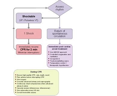Shockable Rhythm Arm Of The ALS Algorithm RCEMLearning India