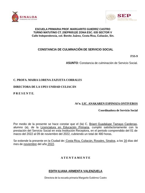 Constancia De Servicio Social Pdf