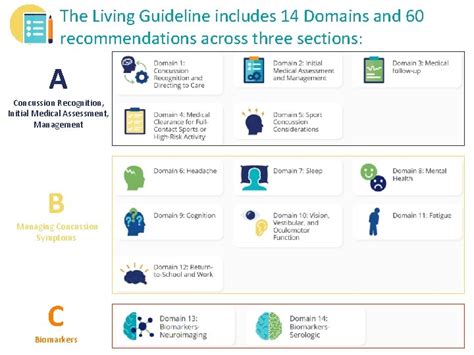 Living Guideline For Diagnosing And Managing Pediatric Concussion