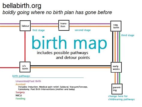 Birthmap The Birth Map
