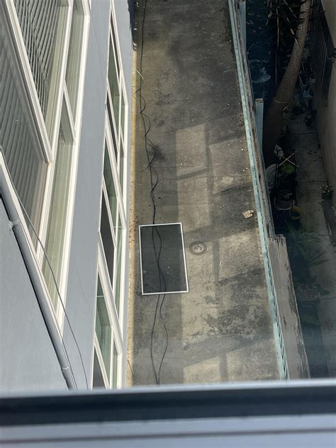 Annoying As Fly On My Window Tried To Swat And Window Frame Popped Off Rmildlyinfuriating