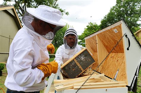 Beehive Bars