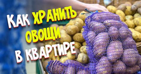 Правильное хранение овощей на кухне без потерь
