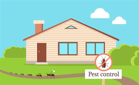 How Can You Prevent Pests From Getting In Your Home Freedom Pest Control
