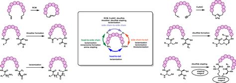Peptidomimetics Symeres