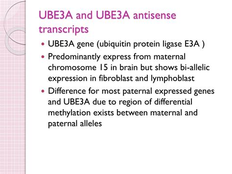 Ppt Antisense Transcript And Human Disease Powerpoint Presentation Id