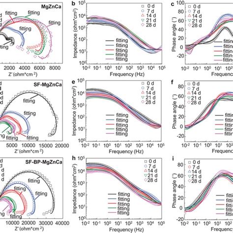 Nyquist Plots And Bode Plots Impedance Vs Frequency And Phase Angle Vs