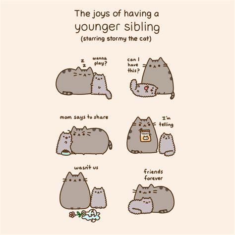 The Joys Of Having A Younger Sibling Pusheen Shop