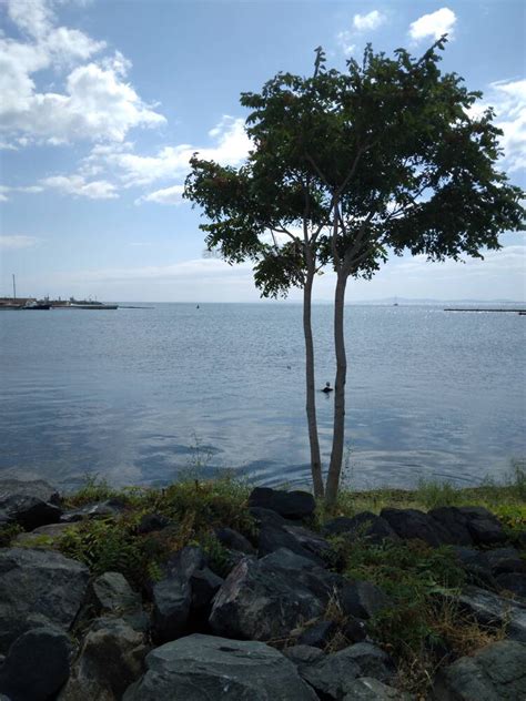 Купувам студио в общ Несебър от собственик Купува имоти Несебър Купувам бюджет студио