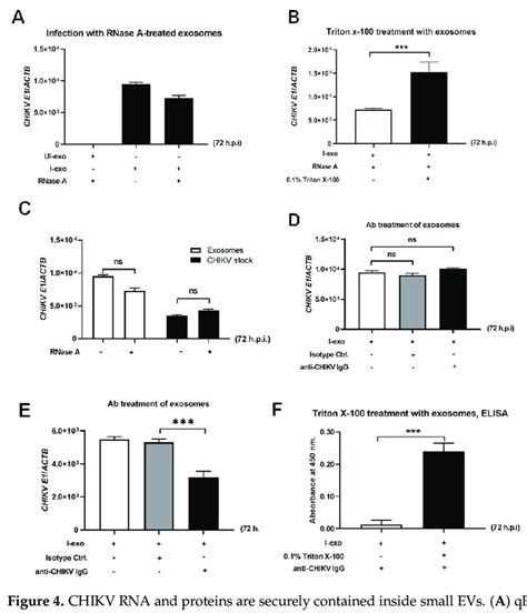 Chikv Rna And Proteins Are Securely Contained Inside Small Evs A Download Scientific Diagram