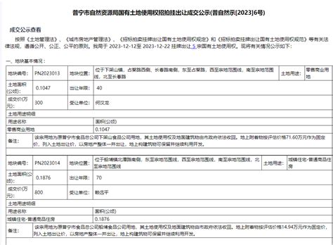 普宁市自然资源局国有土地使用权招拍挂出让成交公示普自然示20236号