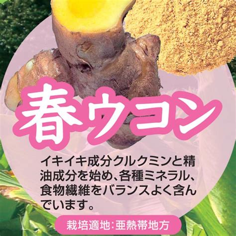 金秀バイオ製造 沖縄県産 チャンプルーウコン93粒 1ヶ月分 農薬無散布栽培 ウコン サプリ 春ウコン 秋ウコン 紫ウコン 栄養機能食品 爆買