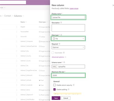 dataverse auto number and file upload field addition gm dynamics consulting