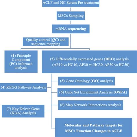 RNA Sequencing Experiment Workflow The Workflow Of Serum Pretreatment Download Scientific