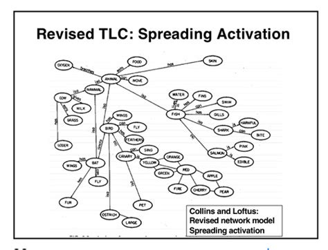 Lecture 13 Semantic Networks Flashcards Quizlet