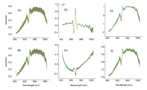 Spectrum Curves Of All Samples Preprocessed By Savitzky Golay Smoothing Download Scientific