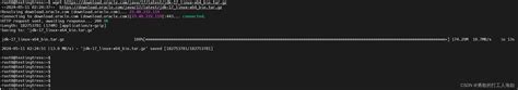 Linux下安装jdk并配置环境变量linux安装jdk17并配置环境变量 Csdn博客