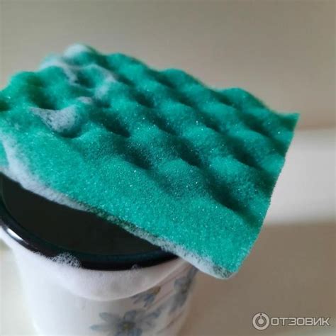 Отзыв о Губки кухонные Big City Life Максима Без них не помоешь посуду