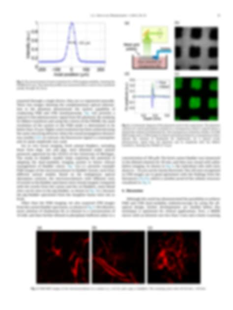 Solution A Fiber Optic System For Dual Modality Photoacoustic Microscopy And Confocal