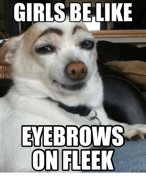 25 Eyebrow Memes That Are Totally On Fleek Funny