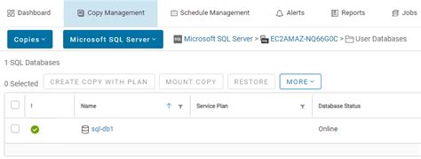 Protect A Sql Server Database Dell Apex Block Storage For Aws With Dell Appsync Integrated