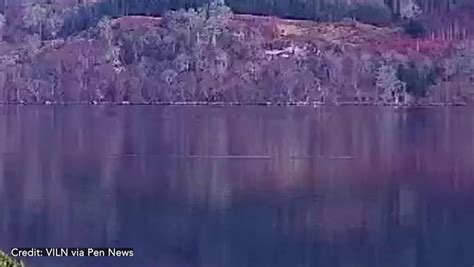 Loch Ness Monster Caught On Camera In Latest Sighting That Left