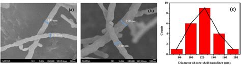FE SEM Images A At 50 000 And B At 40 000 Magnifications And C Download Scientific