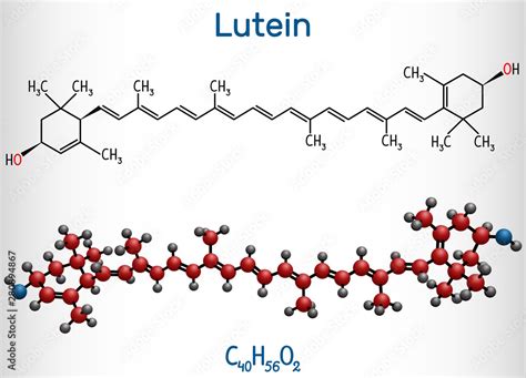 Xanthophyll Structure