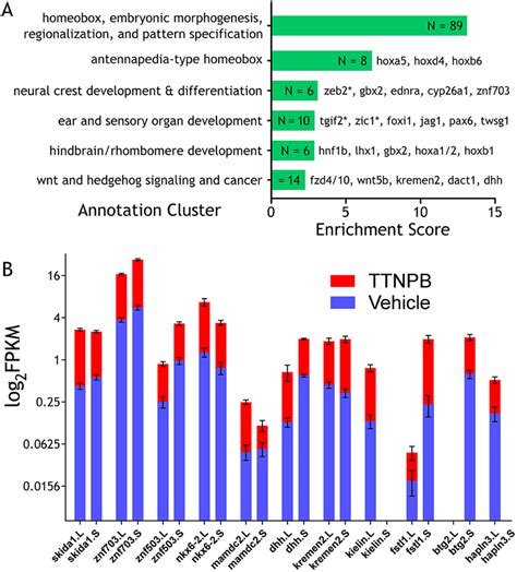 Results Of Rna Seq Data Analysis A Go Analysis Of Differentially Download Scientific Diagram