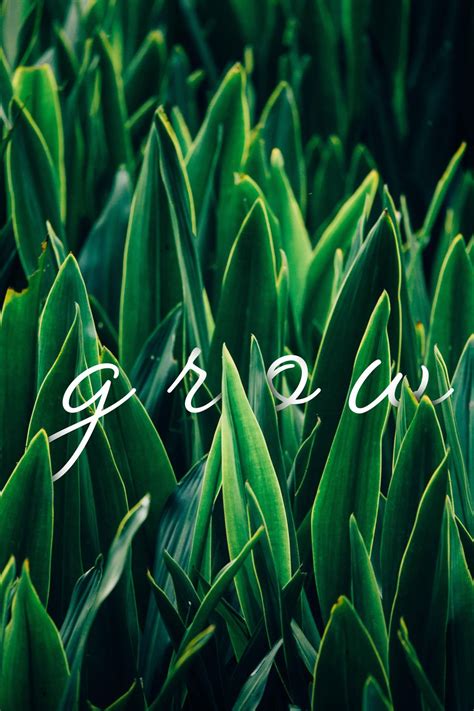 Photoshop Class Files Skillshare Student Project