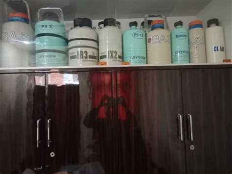 Food Grade Liquid Nitrogen Gas 10 L At ₹ 50litre In Kanpur Id