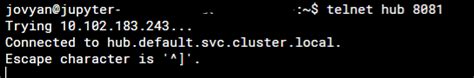 failed to connect to hub api at hub 8081 hub api · issue 4499